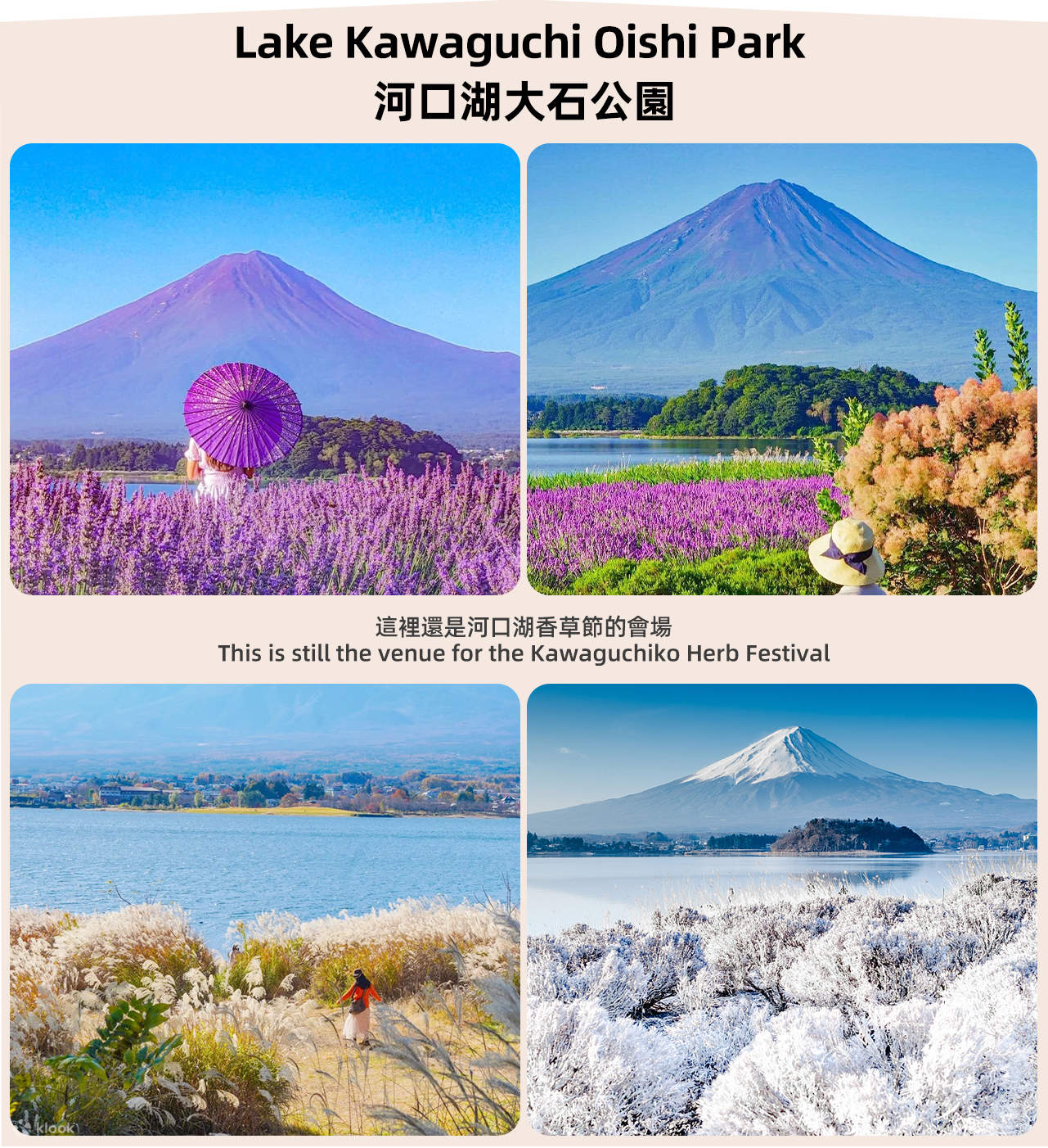 [One-day tour of Mount Fuji Internet celebrity & classic check-in ...